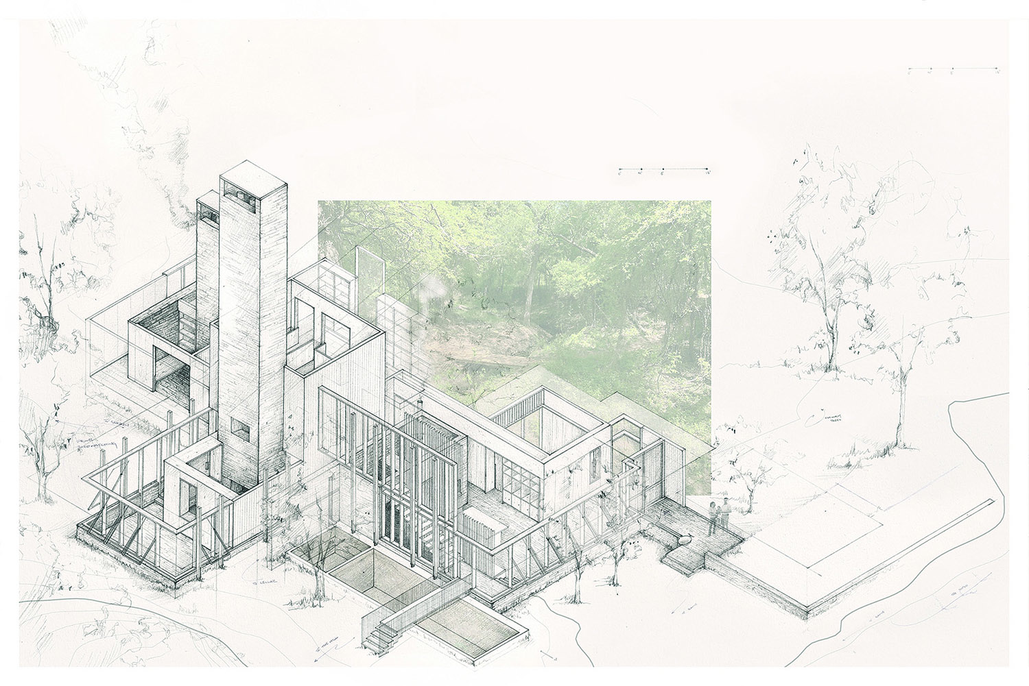 001 Ashley Skidmore_Holistic Axon - Elizabeth Danze - Study ...