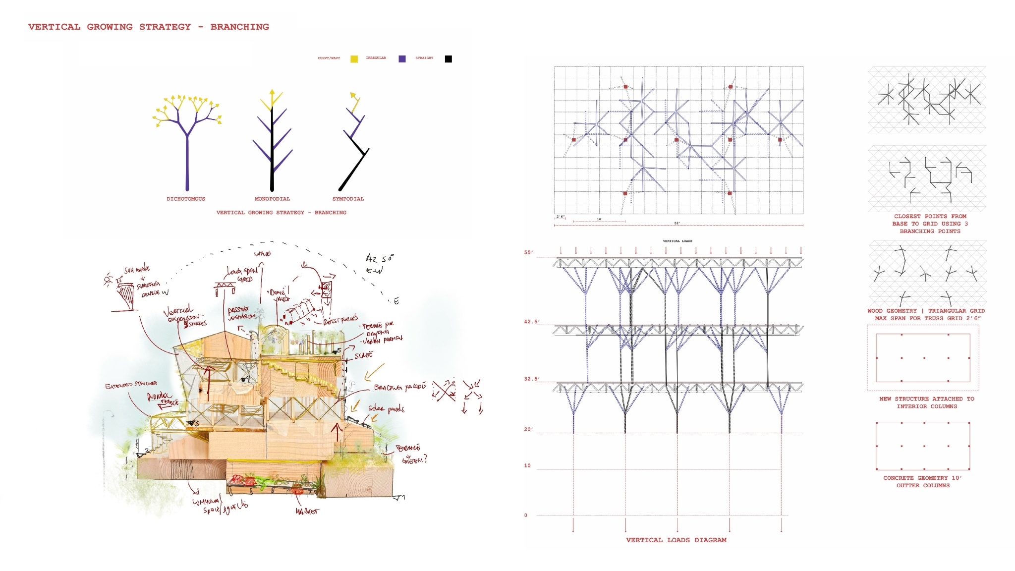 ACSA_2024_Cano_Student_Showcase 04 - Paula Cano - Study Architecture | Architecture Schools and ...