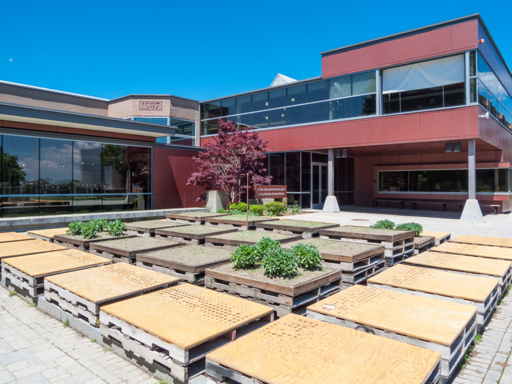 Roger Williams University - Study Architecture | Architecture Schools ...