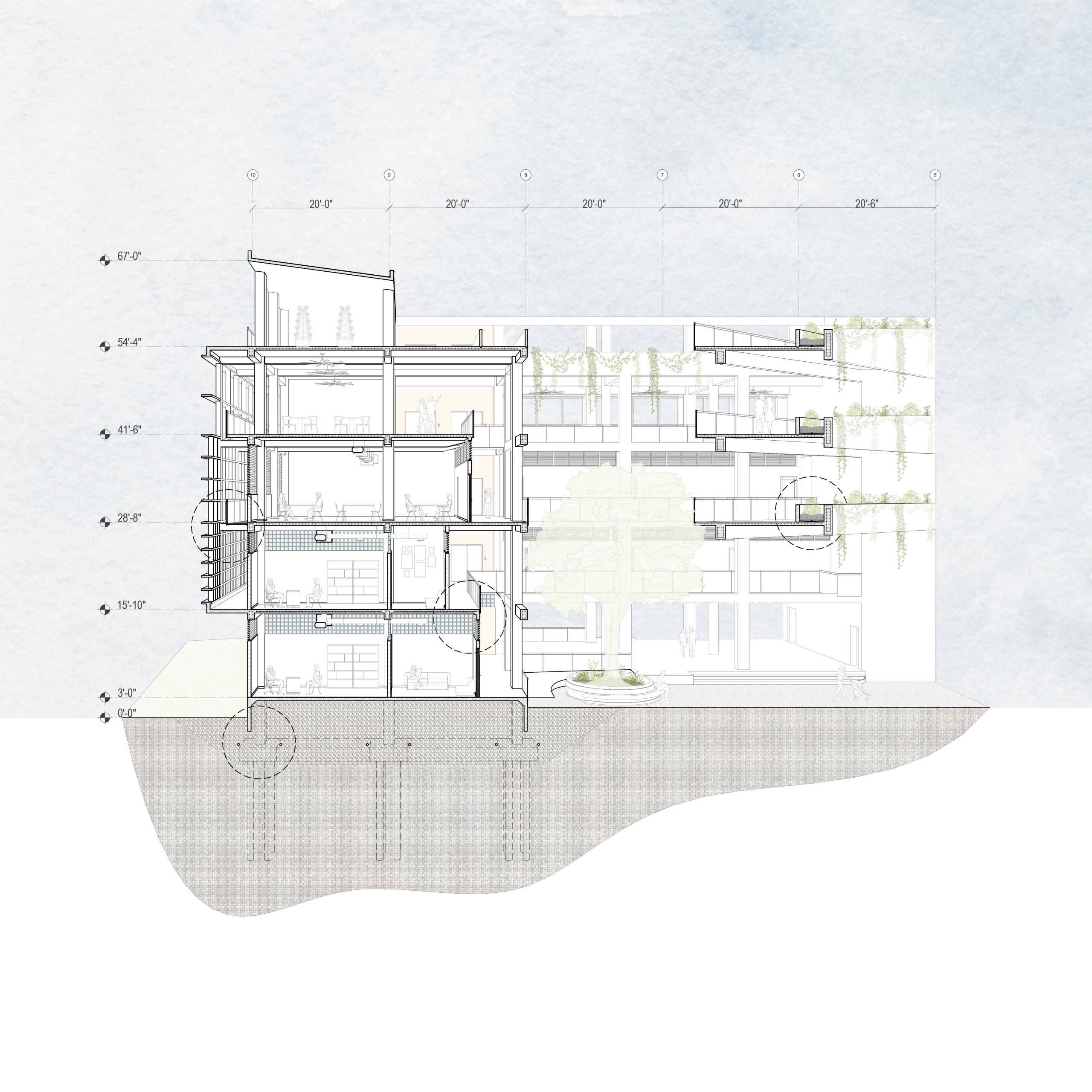 Wall Section - Lara - Omayra Rivera Crespo - Study Architecture ...