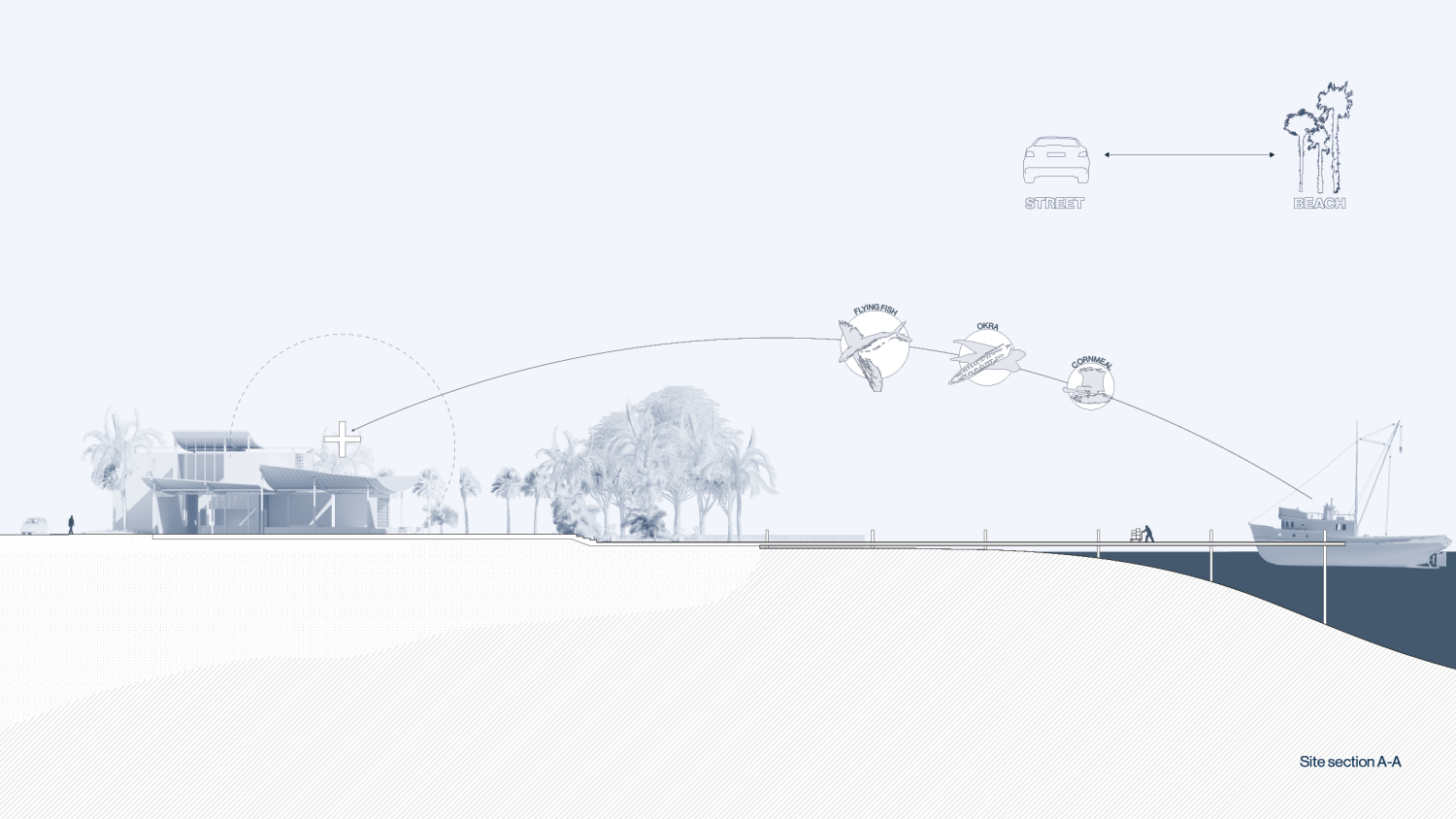 site section - Nichole Wiedemann - Study Architecture | Architecture ...